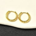 304 Stainless Steel Hoop Earrings for Women Ion Plating(IP) Ring Real ...