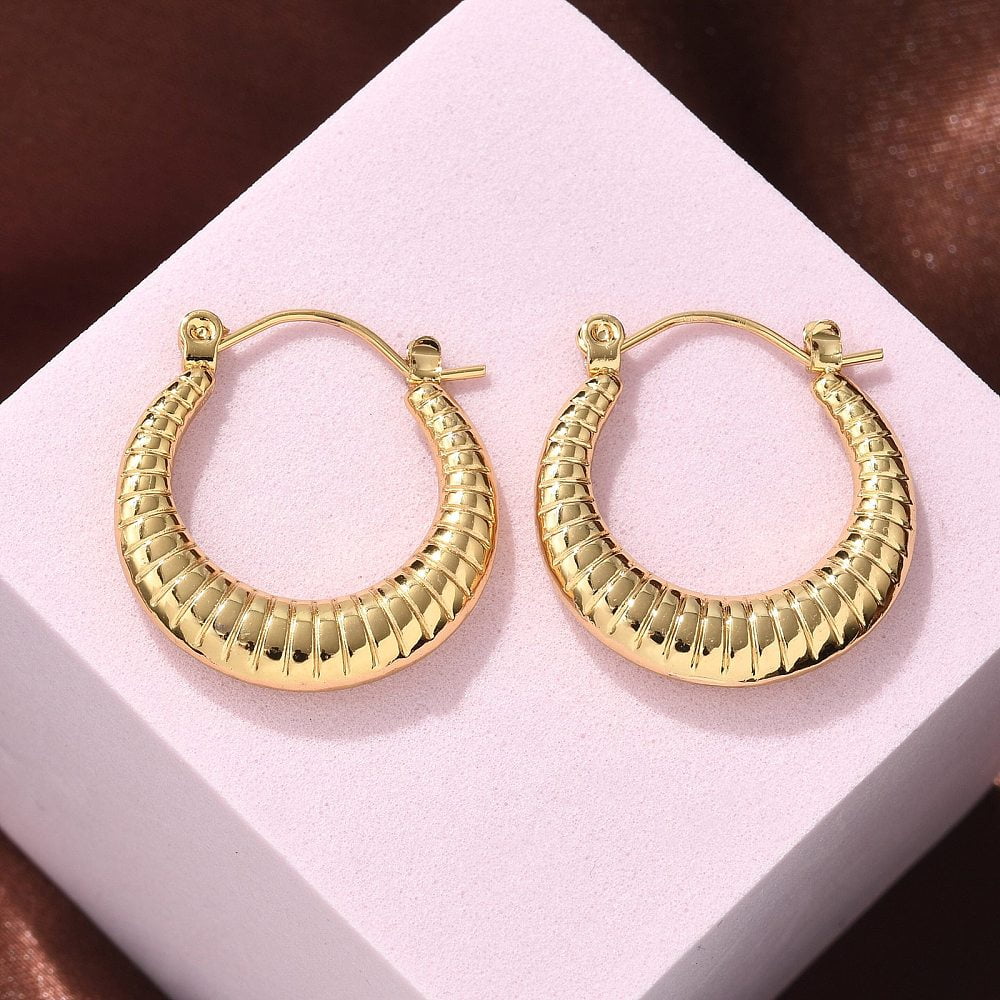 304 Stainless Steel Hoop Earrings for Women Ion Plating(IP) Ring Real ...