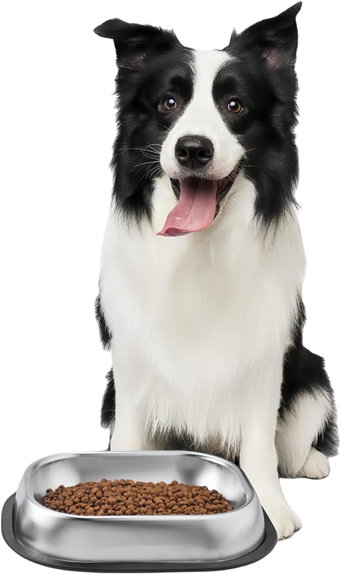 304 Stainless Steel Metal Food Dishes, with Cleaning Kit, Shallow Dog ...