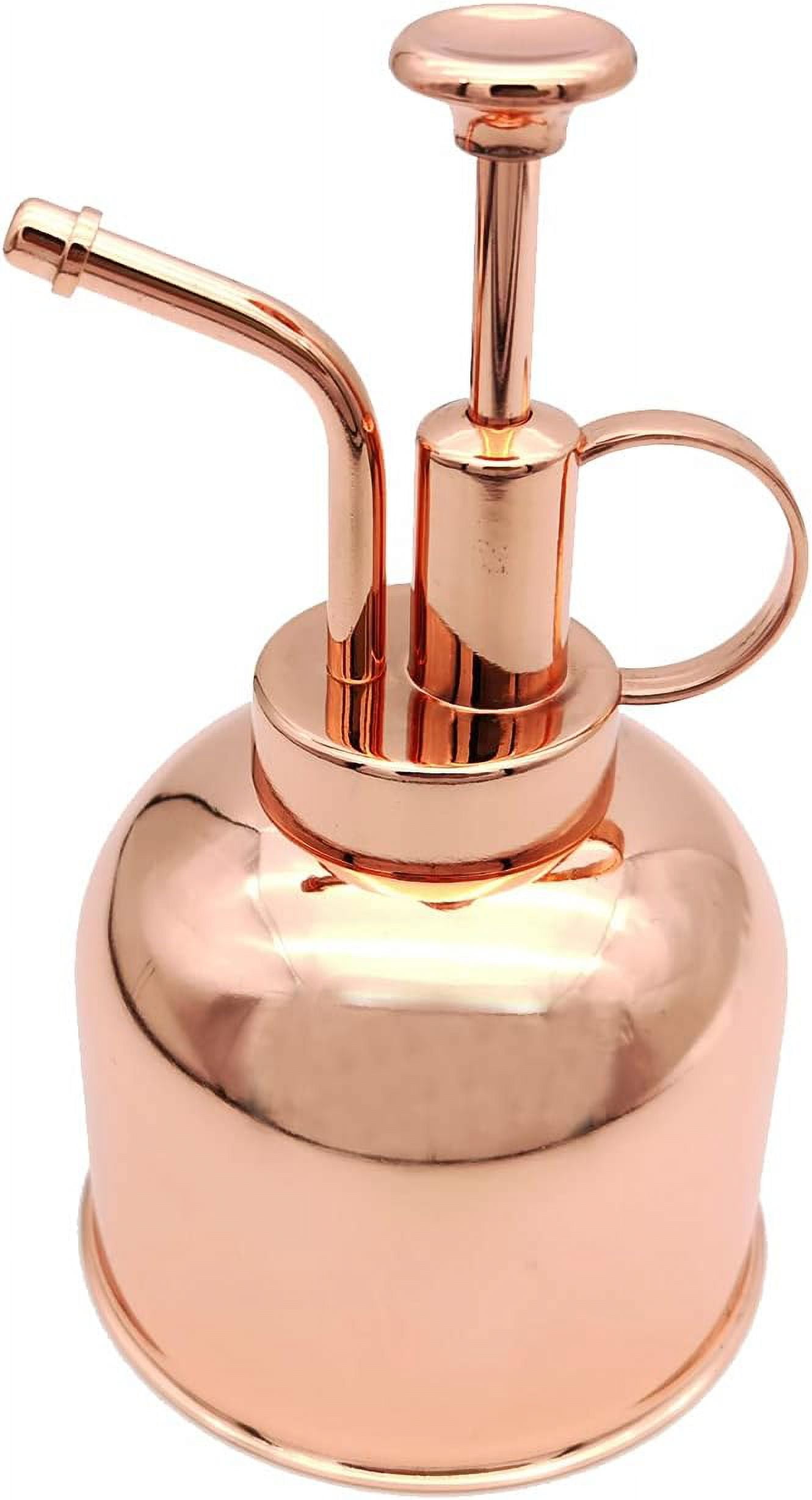 304 Stainless Steel Watering Can Vintage Spray Bottle Flower Spray ...