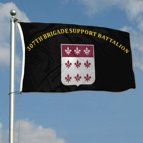 307th Brigade Support Battalion 82nd Airborne Division US Army Flag ...