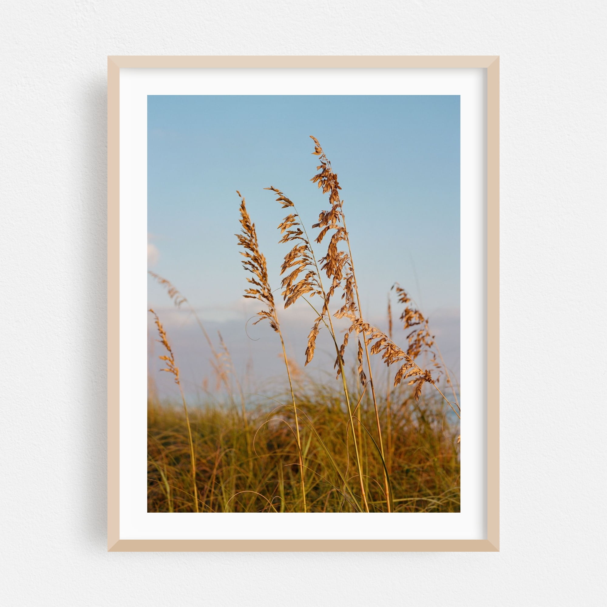 30A Golden Hour - Santa Rosa Beach Florida Photography Nature Coastal ...