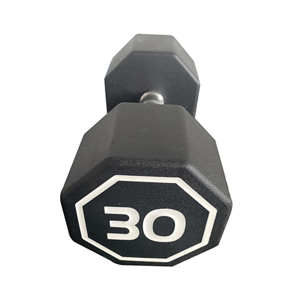 30LBS APOLLO IR3920 Premium Octagonal Dumbbell, Large Numbers, Hard ...