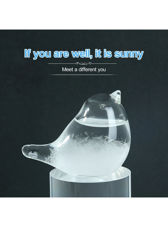 Barometers in Weather Stations - Walmart.com