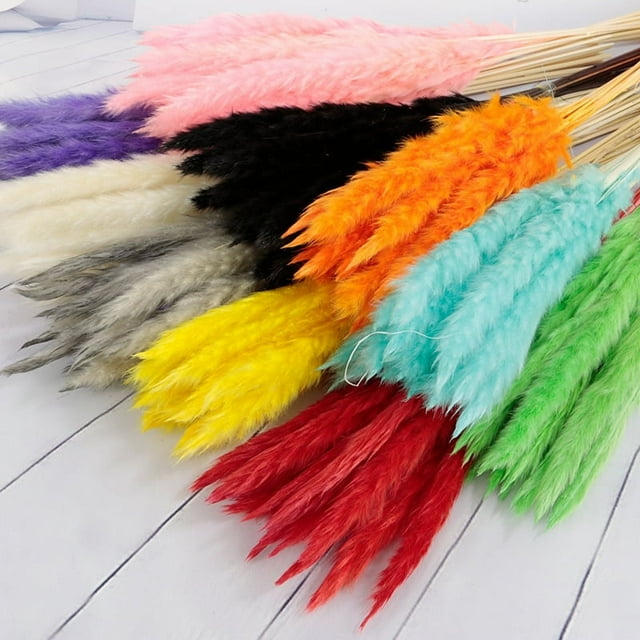 30PCS Pampas Grass Plumes Decoration, 17 Inch Tall Natural Dried ...