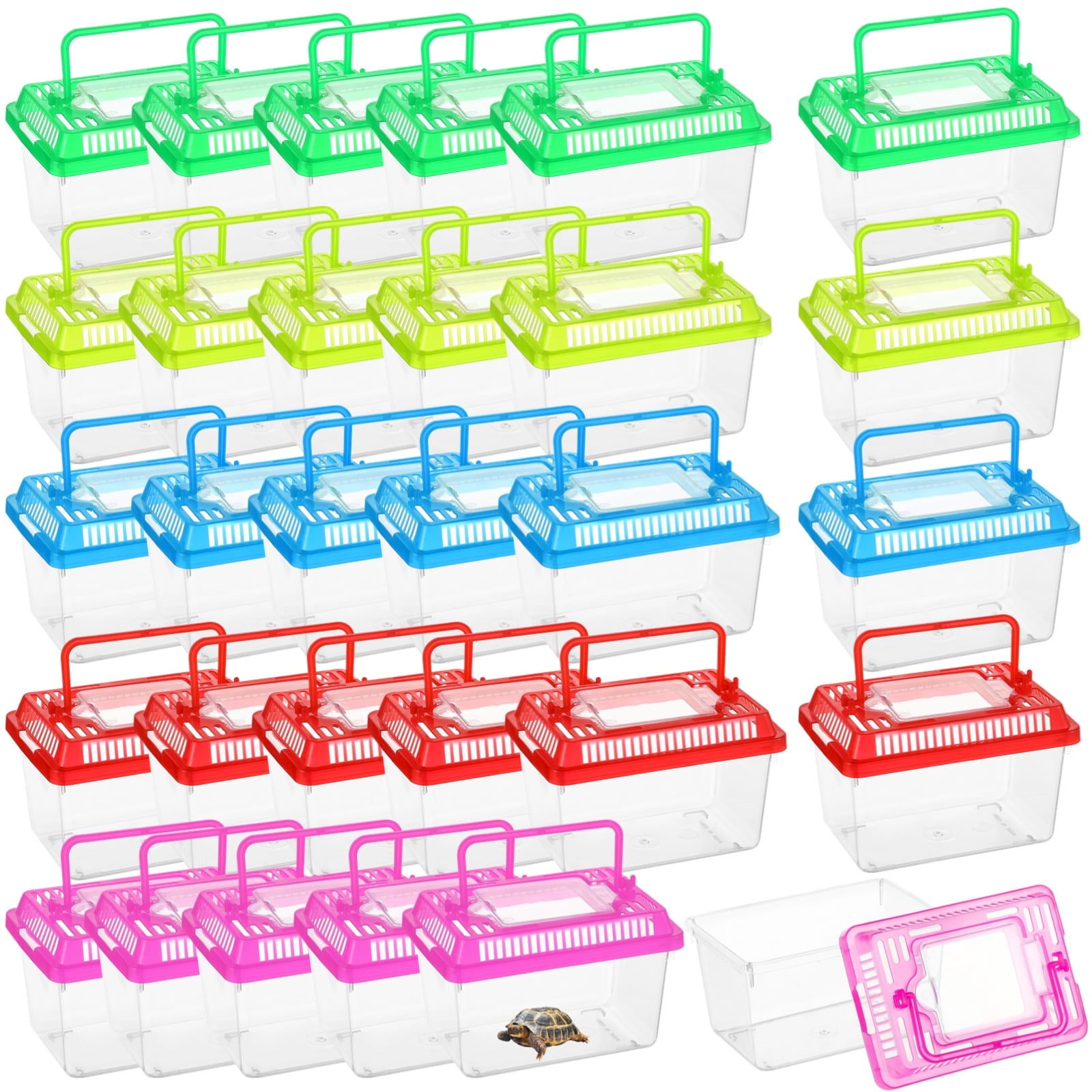 30PCS Plastic Reptile Terrarium Carrier Cage, Portable Transparent ...