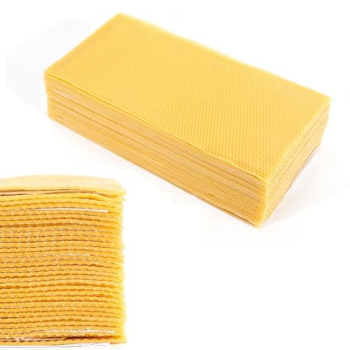 30Pcs Beehive Foundation Sheets – Build Strong, Healthy Colonies with ...