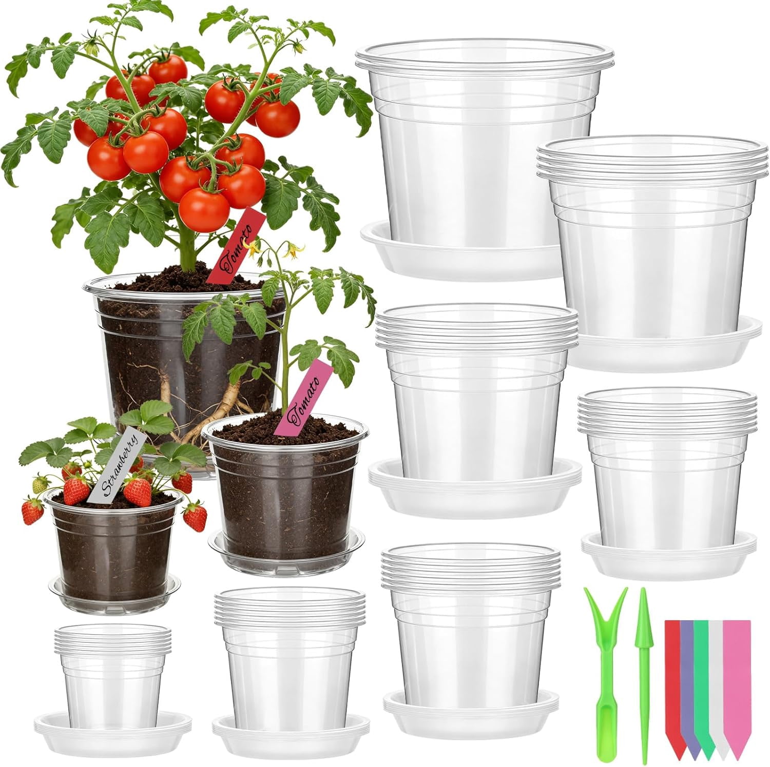 30Pcs Clear Plastic Nursery Pots with Drainage Holes and Saucers, 2.8/3 ...
