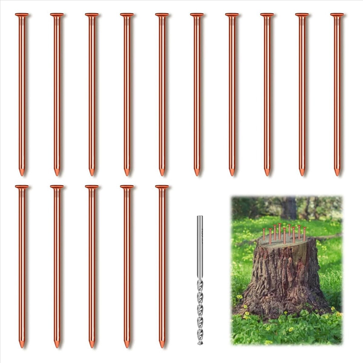 30Pcs Copper Nails for Killing Trees Stump Root, 3.14 Inch Long Pure ...