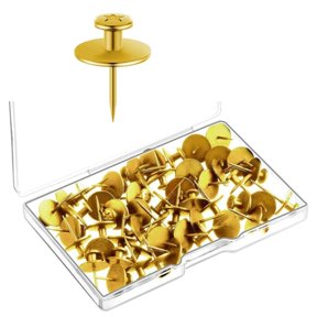 Cork Board Pins