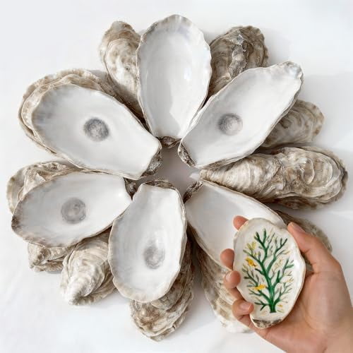 30Pcs Oyster Shells for Crafts 4"-6" Natural Large Oyster Shells for ...