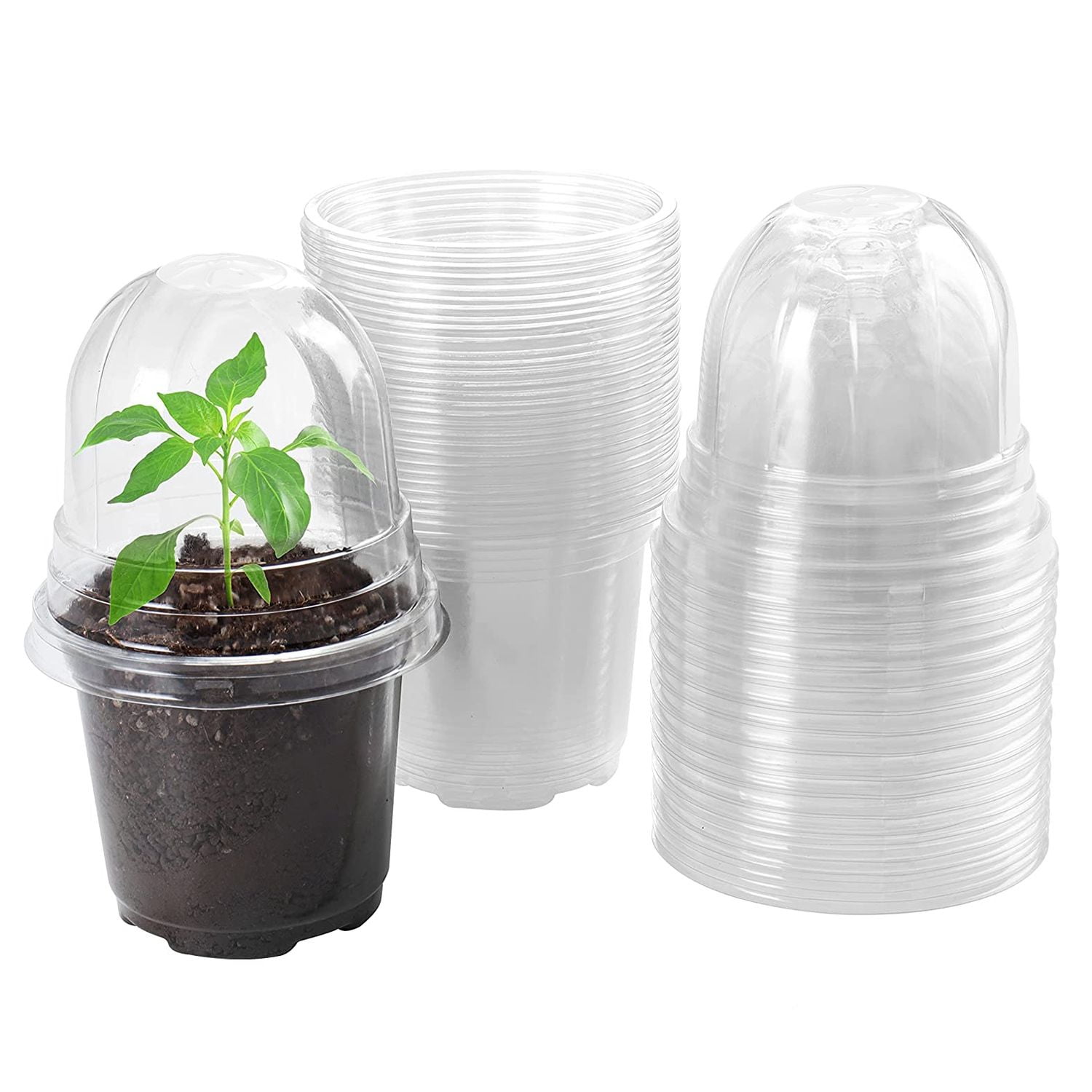 30Pcs Plant Nursery Pots PET Flower Seed Starting Pots Container with ...