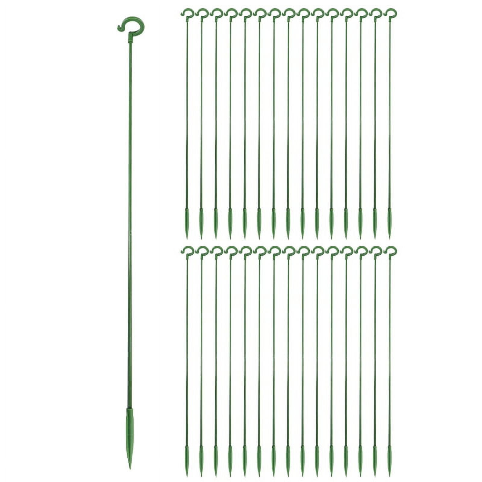 30Pcs Plant Stakes, Single Stem Support for Flowers and Vines, Glass ...