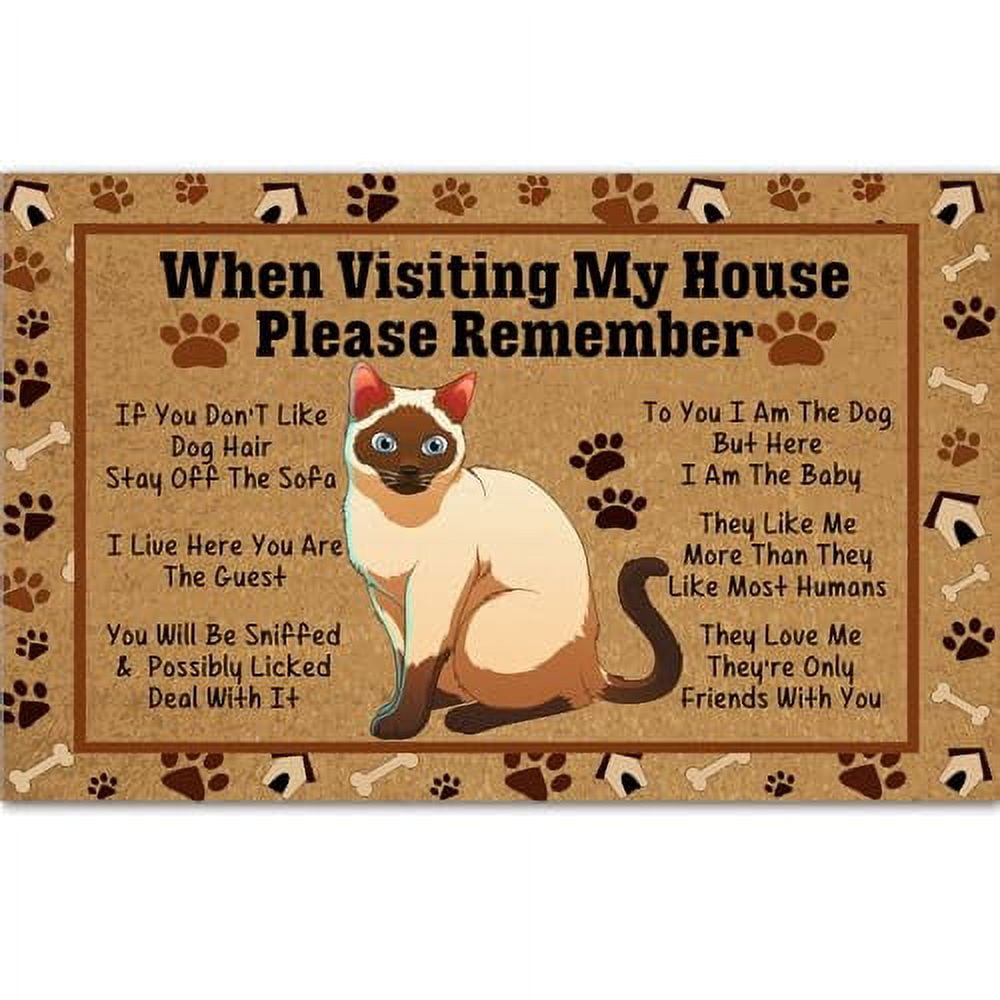 30X17 Inch Door Mats for Home Outdoor, When Visiting My House Please ...