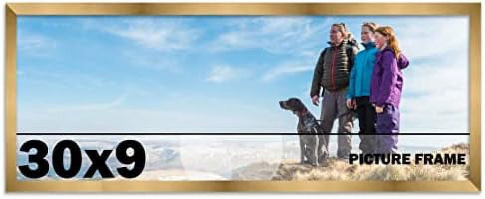30X9 Frame Bronze Picture Frame - Modern Photo Frame Includes UV Guard ...