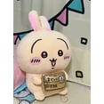 30cm Usagi Weeding Certificate Series Hachiware Camera Plush Toy Large ...
