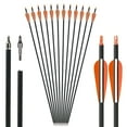 Funtress 30inch Fiberglass Arrows, Replaceable Broadheads, Spine 500 ...