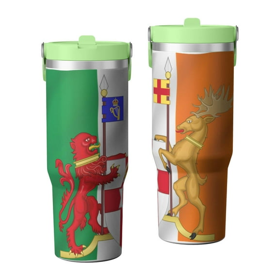 30oz St Patrick's Day Stainless Steel Tumbler with Lid and Straw ...