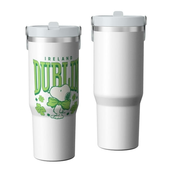 30oz St Patricks Day Stainless Steel Tumbler with Lid and Straw,Dublin ...