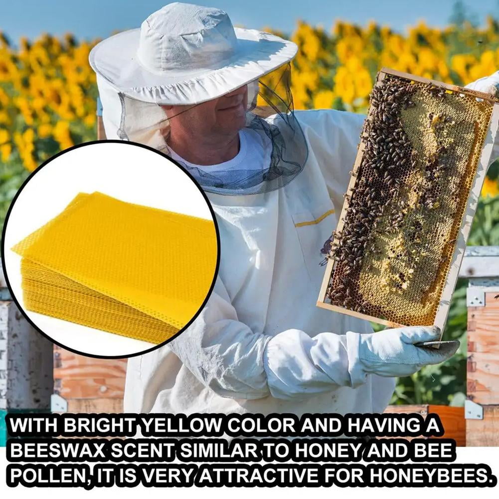30pcs Beekeeping Supplies Honeycomb Bee Wax Foundation Beehive Wax ...