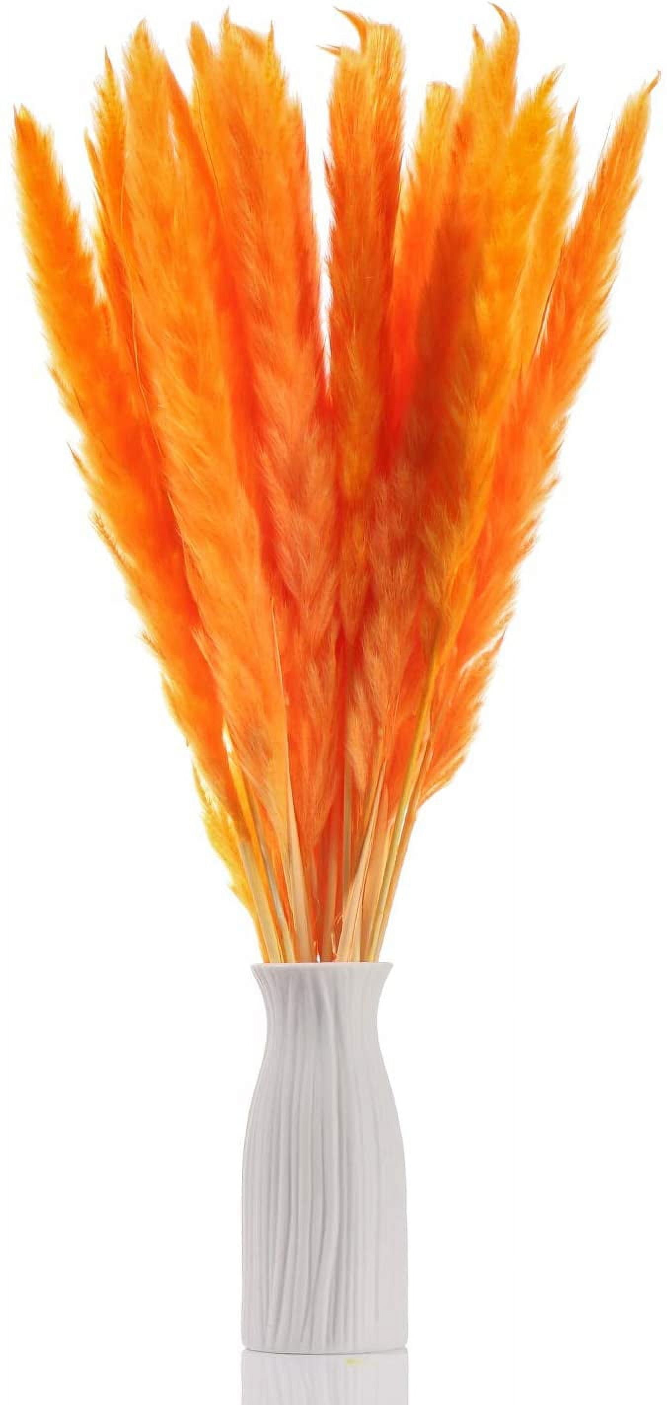 30pcs Dried Flowers Natural Dried Pampas Grass Reed Plant with Box Real ...