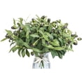 30pcs Faux Olive Leaves Stems 10” Tall Artificial Plants Olive Branches ...