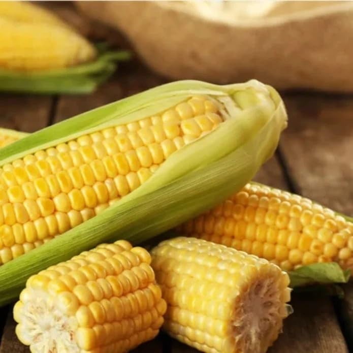 30pcs Golden Bantam Corn Heirloom Seeds - MHD1Non-GMO, Open-Pollinated ...