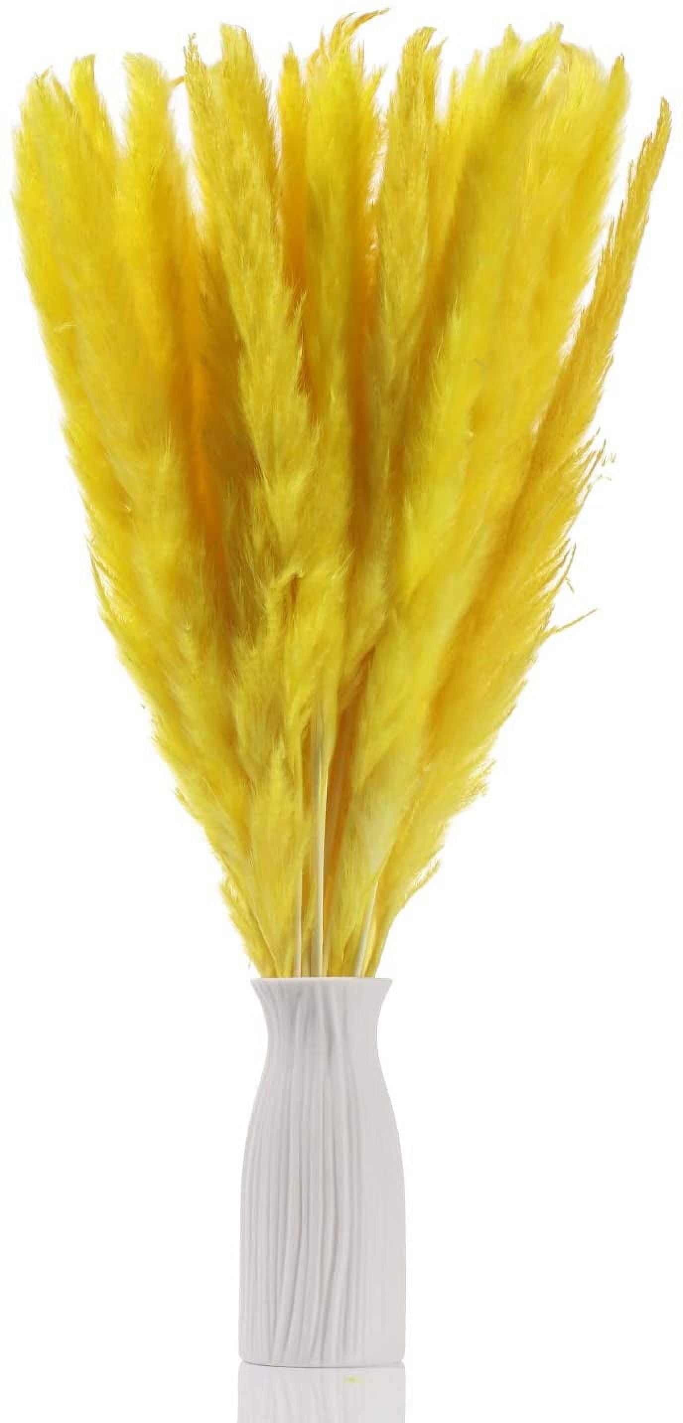 30pcs Natural Dried Pampas Grass Pompous Grass Long-Lasting Dried ...