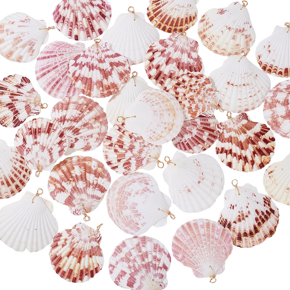 30pcs Natural Seashells Charms 1.8~2.2 inch Shell Charms Ocean Sea ...