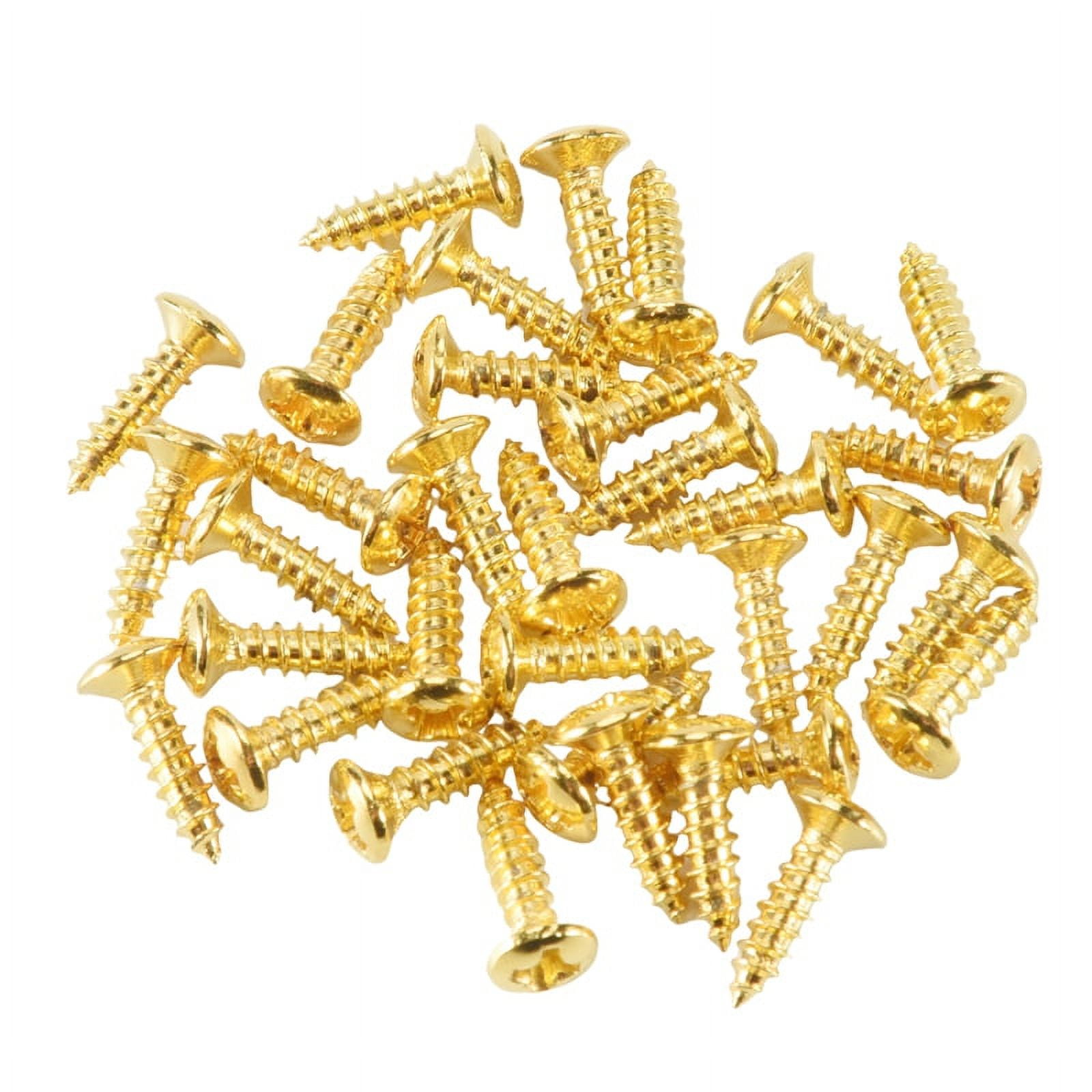 30pcs New Gold Pickguard Screws For Fender Strat/Tele Electric Guitar ...