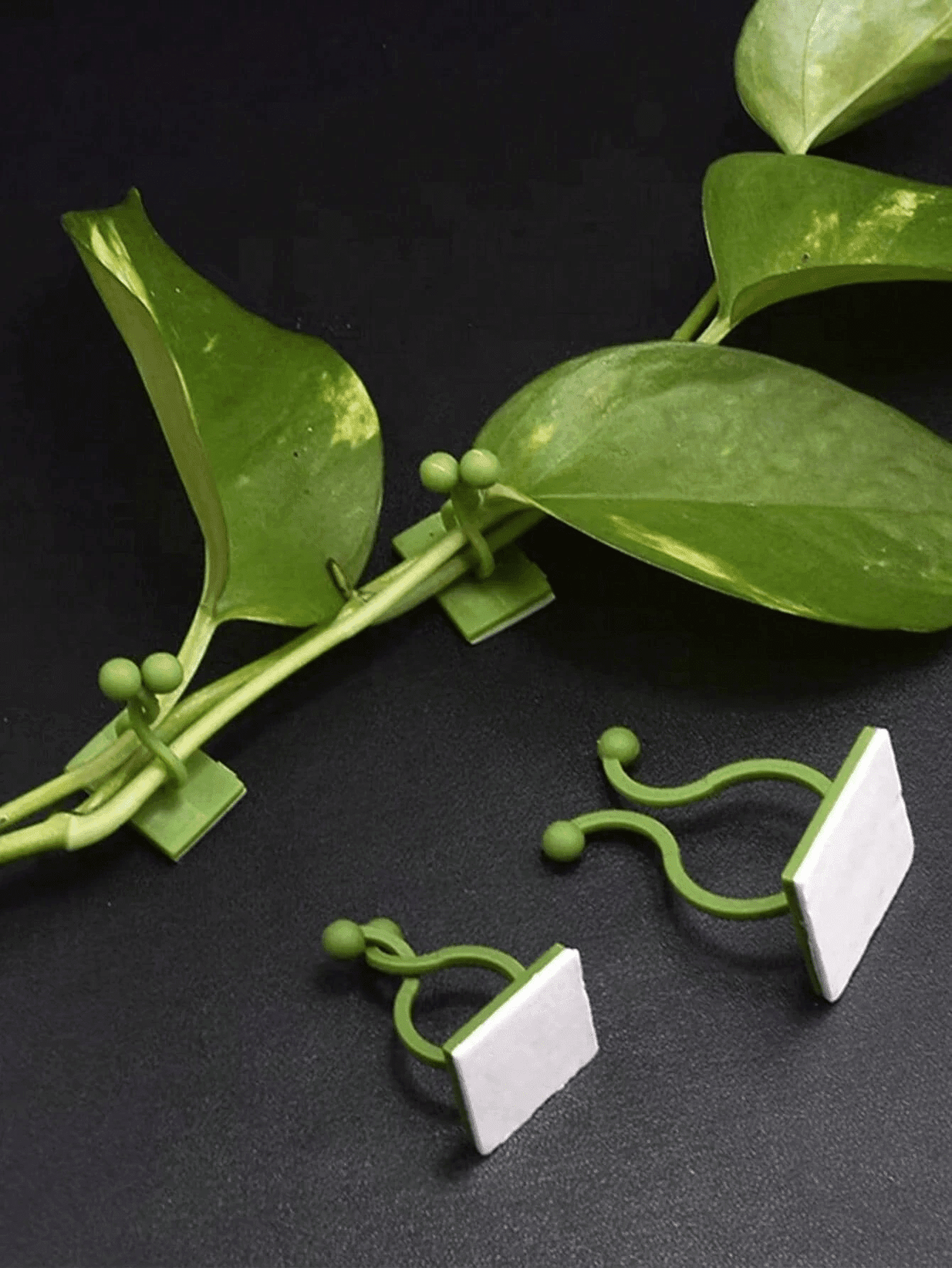 30pcs Plant Clips For Climbing Plants Wall Clips Plant Wall Clips Plant ...