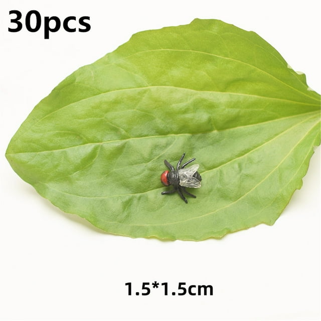 30pcs Realistic Insect Figurines Reptilian Animal Model Figure Boys ...