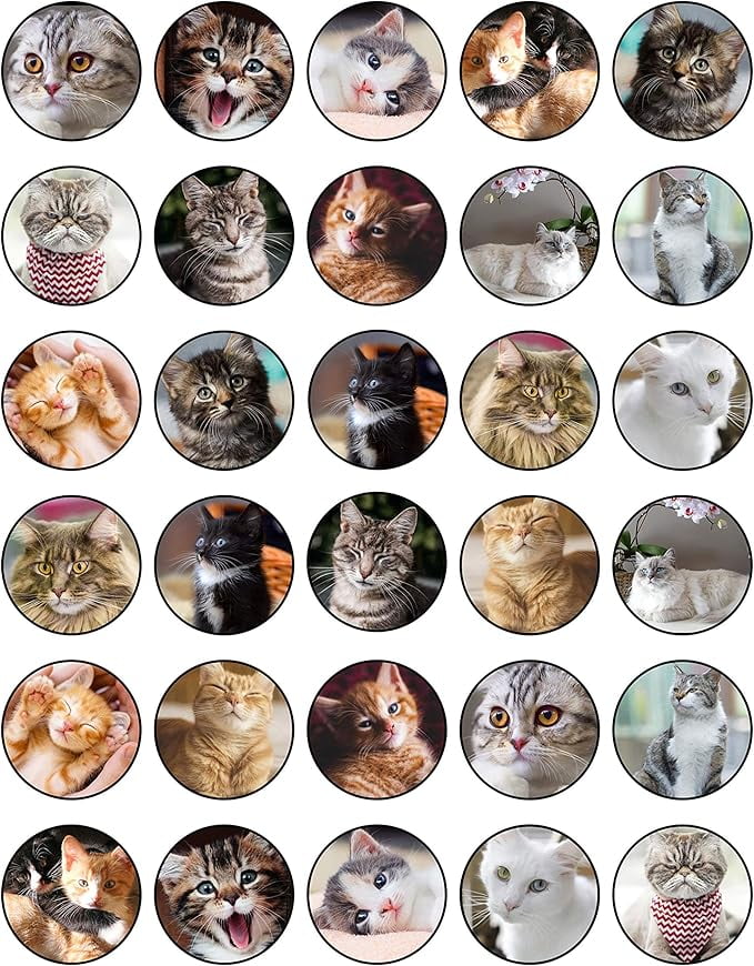 30x Cats Cupcake Toppers – Edible Happy Birthday Décor, Wafer Sheet ...