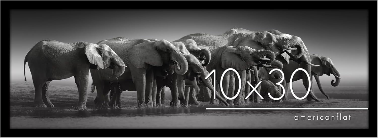 30x10 Picture Frame with Polished Plexiglass - Gallery Style Frame with ...