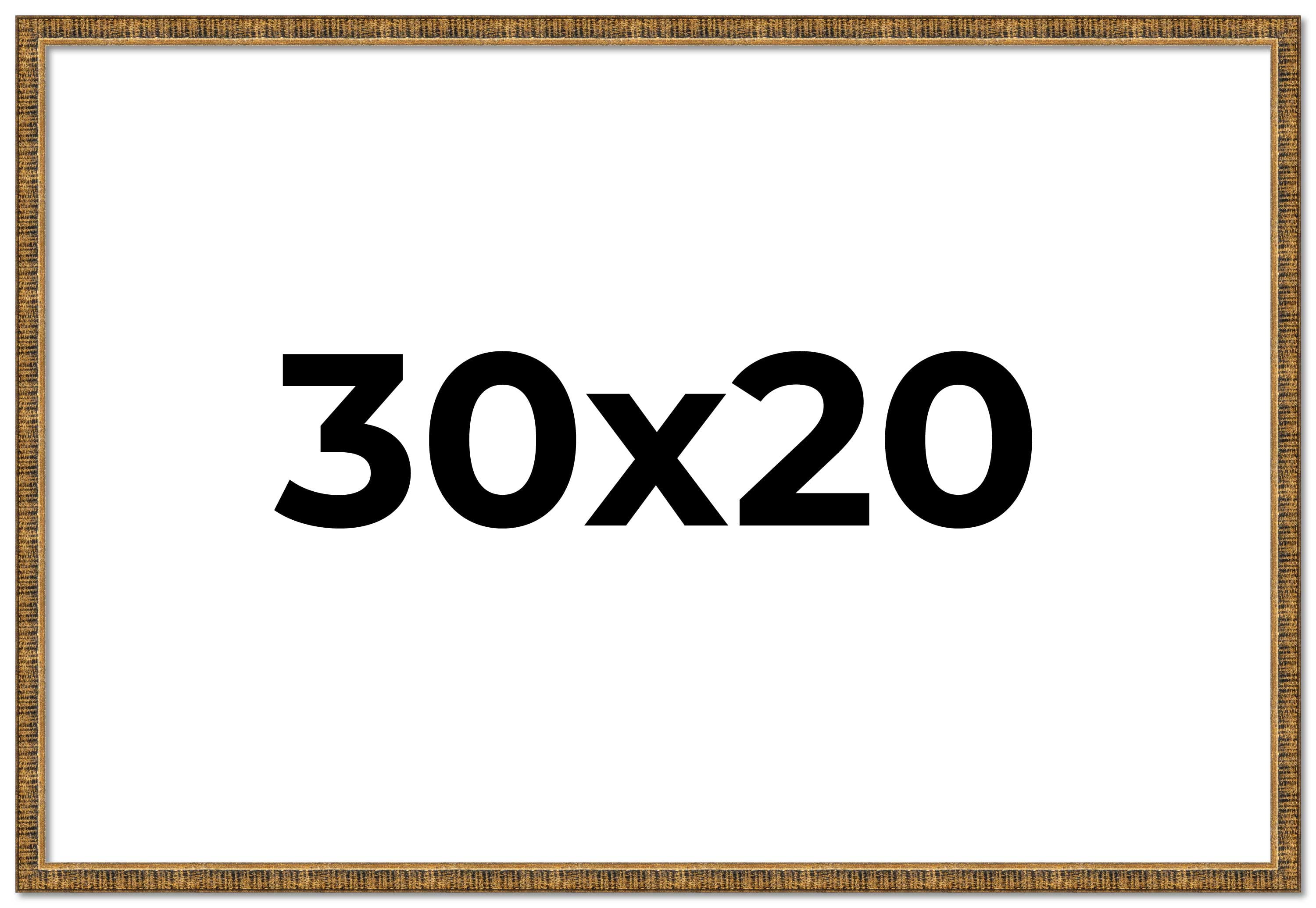 30x20 Frame Gold Picture Frame - Complete Modern Photo Frame Includes ...