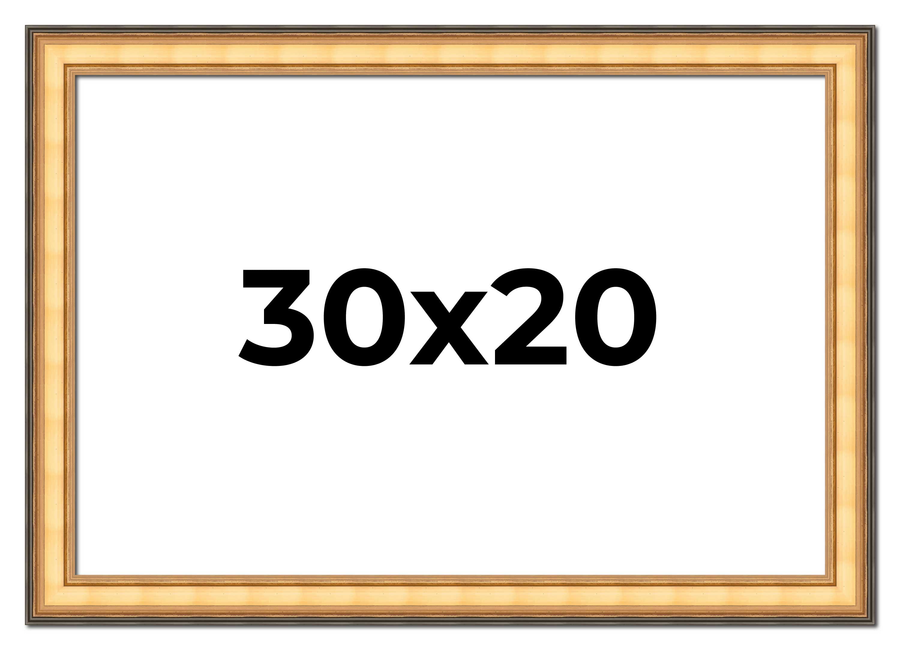 30x20 Frame Gold Plein Aire Solid Wood Picture Frame Width 2 Inches ...
