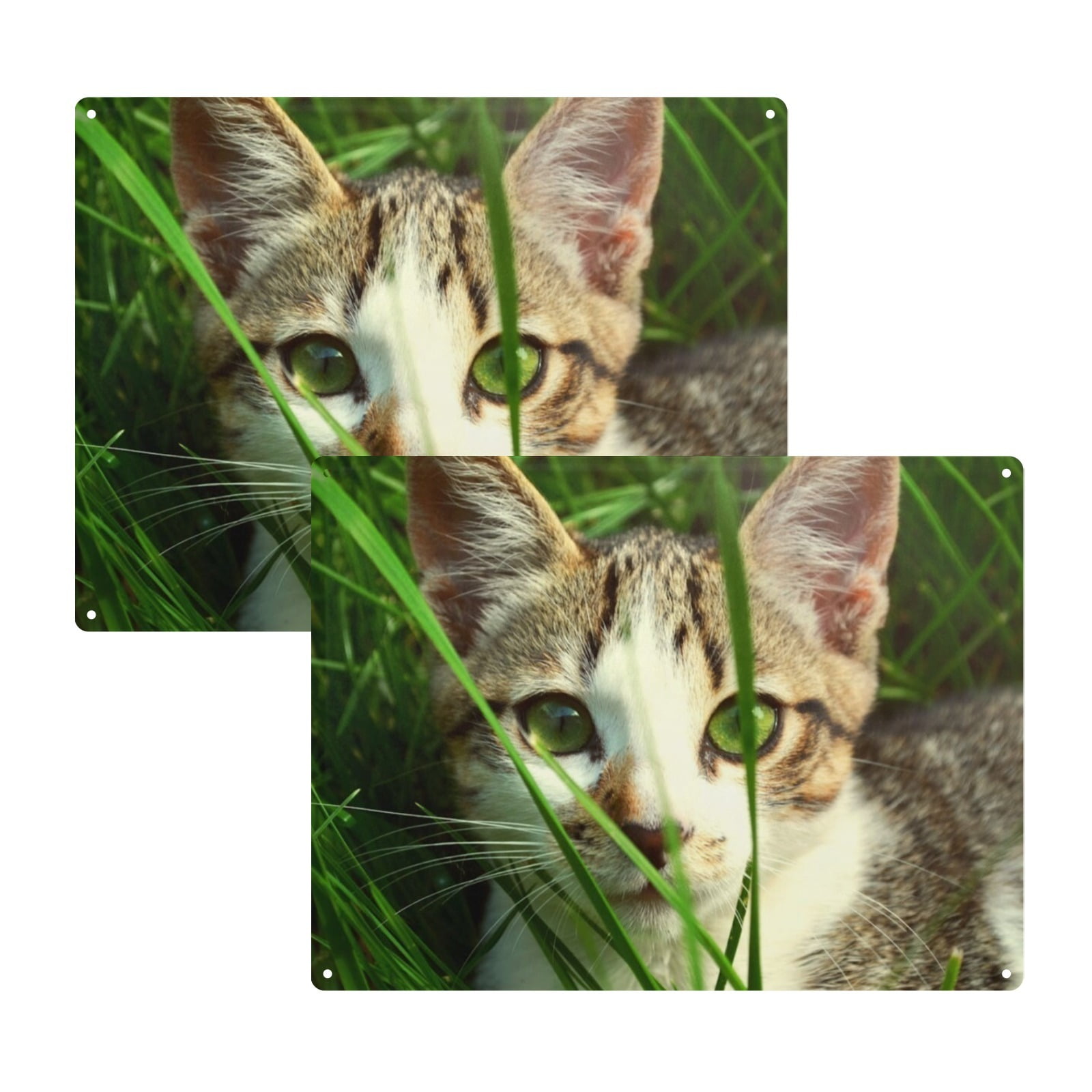 30x40 Inch Tin Signs, Tabby Cat in Tall Grass Print, 2-Pack, Nature ...