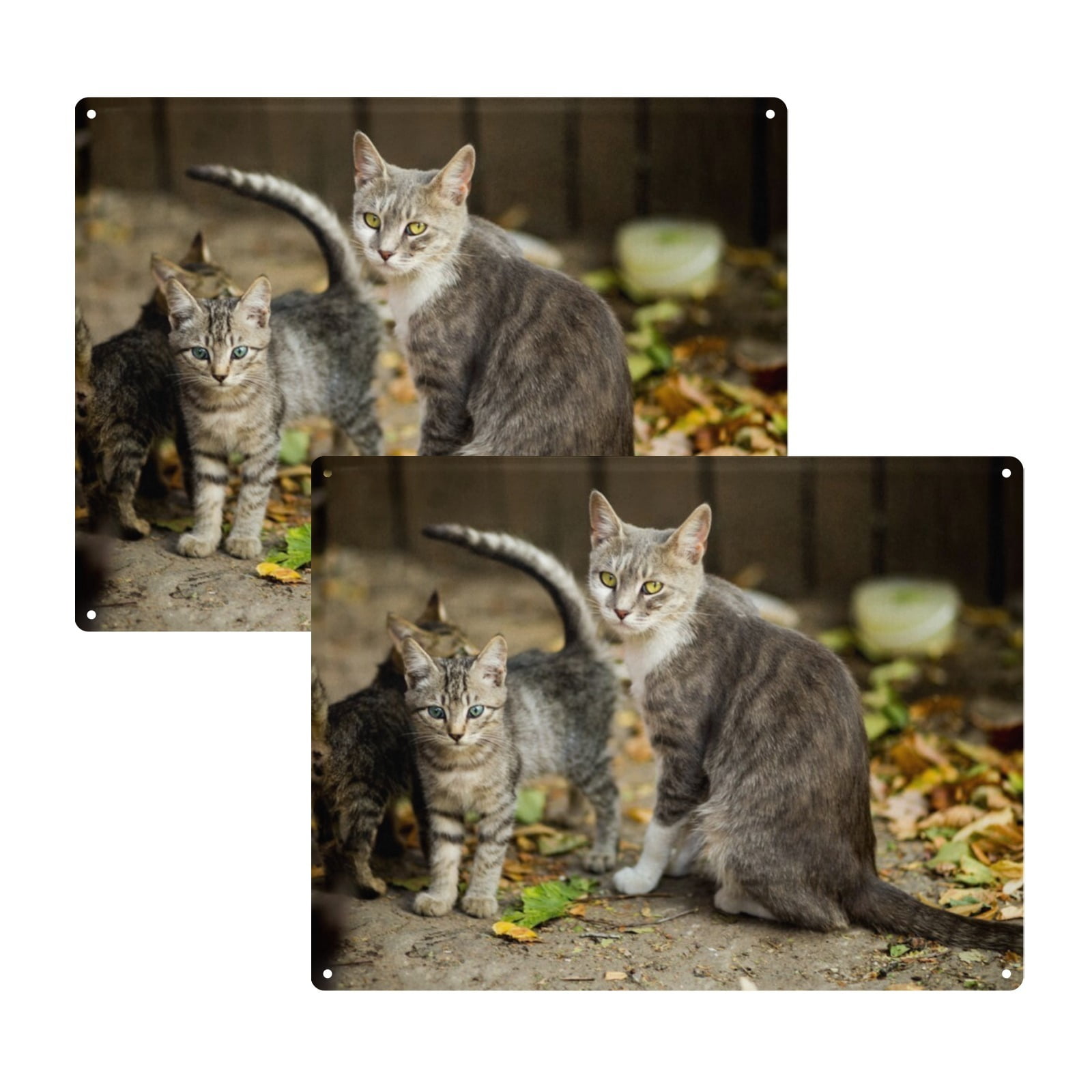 30x40 Inch Tin Signs, Tabby Cats with Fallen Leaves Print, 2-Pack ...