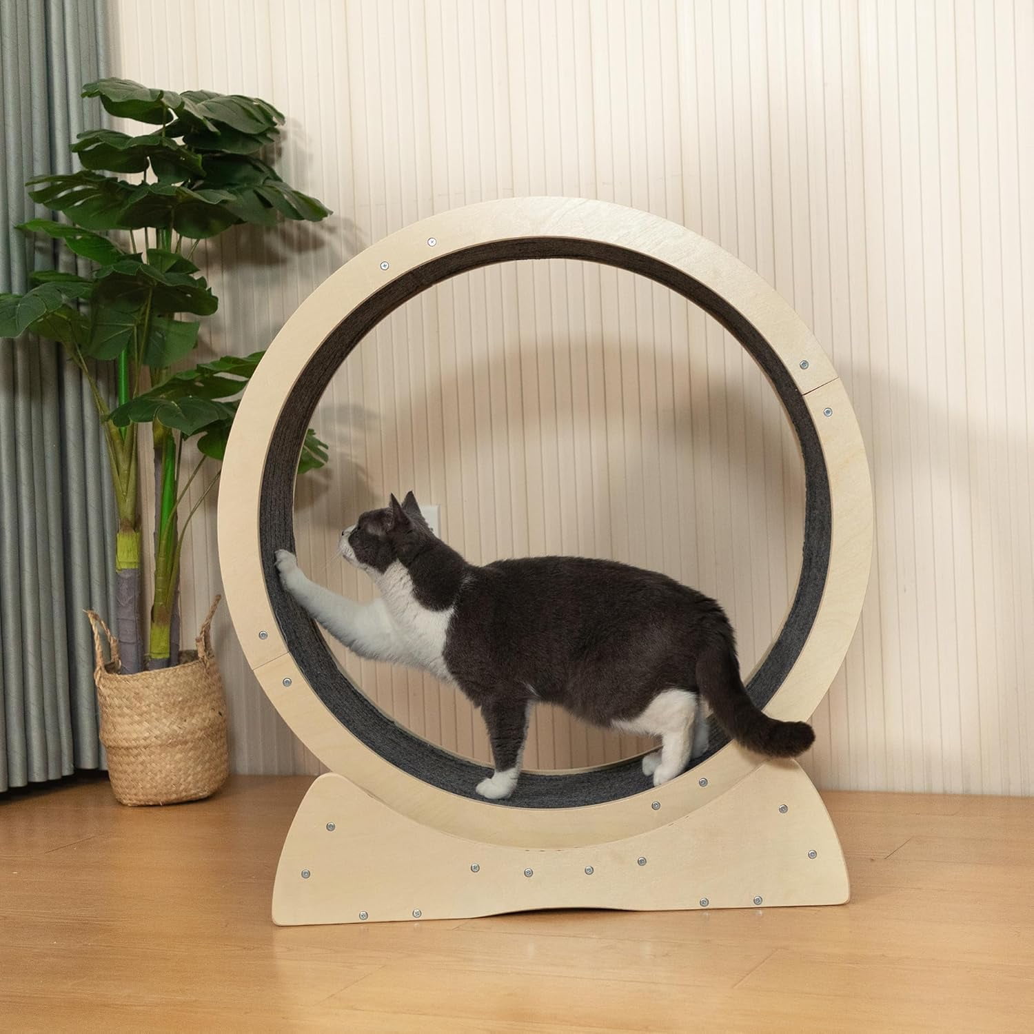 31.5" Large Cat Treadmill, Exercise Wheel with Locking Mechanism ...