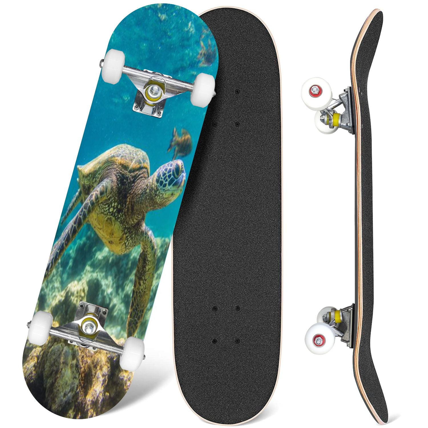 31'' Complete Skateboard 7 Layer Canadian Maple Beginner Skateboard ...