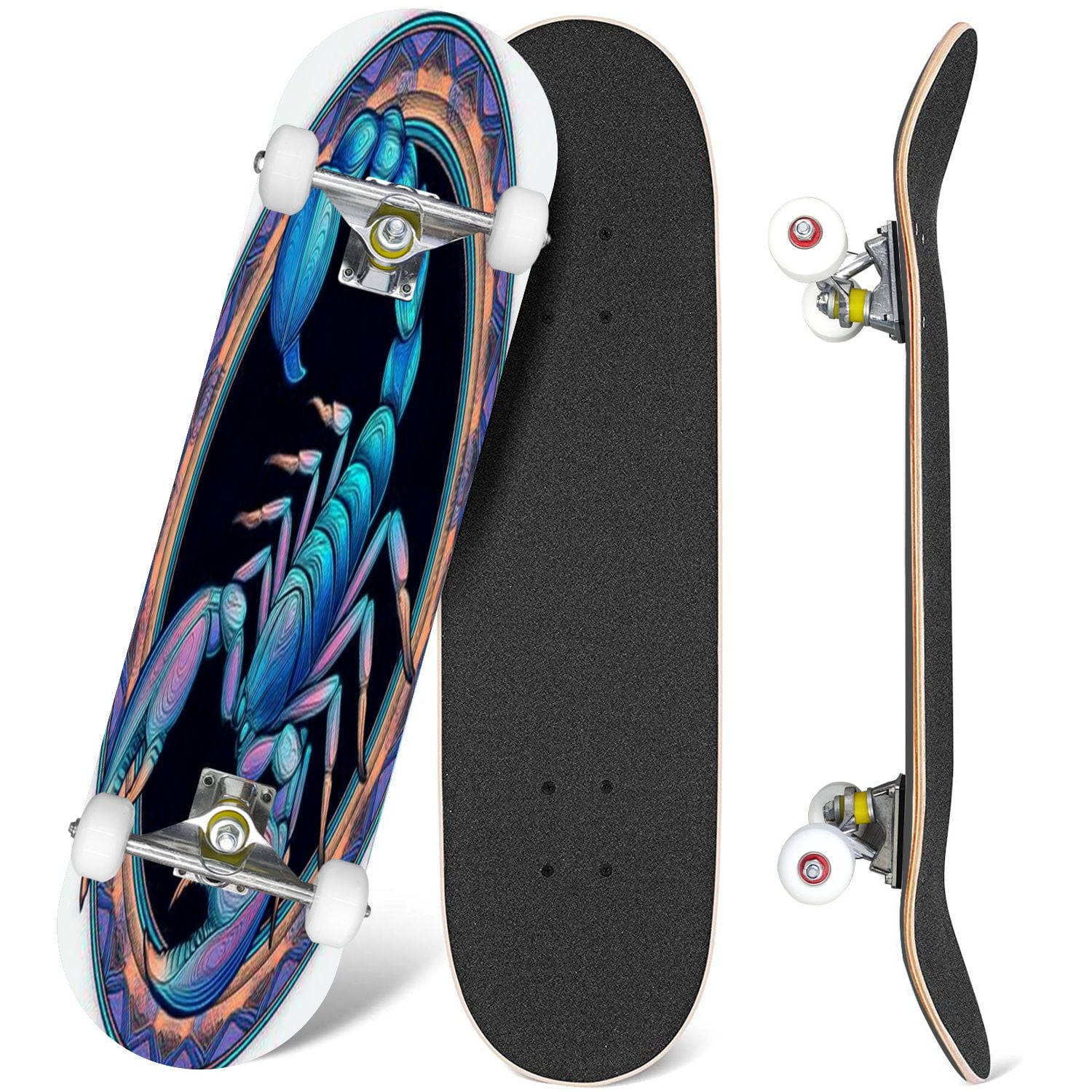 31'' Complete Skateboard 7 Layer Canadian Maple Beginner Skateboard Scorpio zodiac sign ...