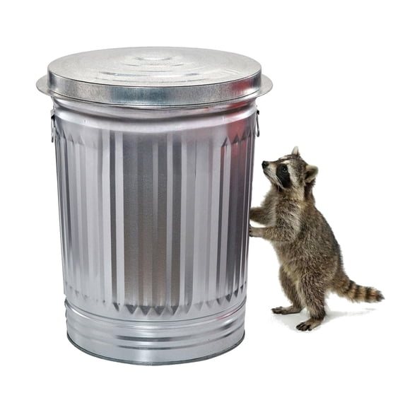 31 Gallon Galvanized Steel Trash Can with Lid - Heavy Duty Outdoor ...