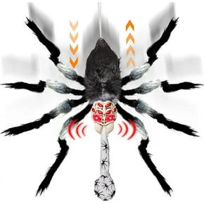 Motion Activated Spider