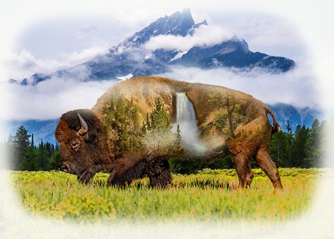 31" X 44" Panel Bison American Buffalo Mountains Scenic Landscape ...