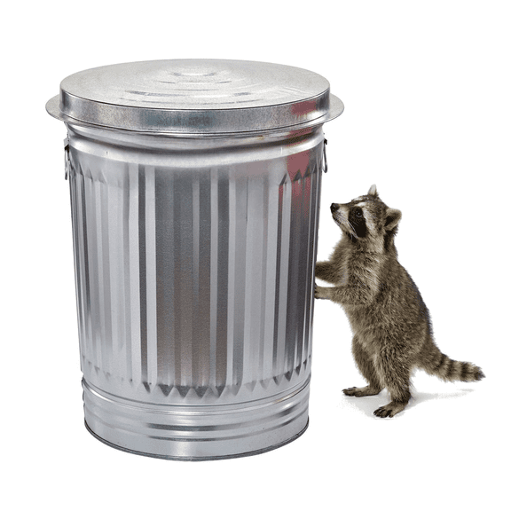 Squirrel Proof Trash Containers