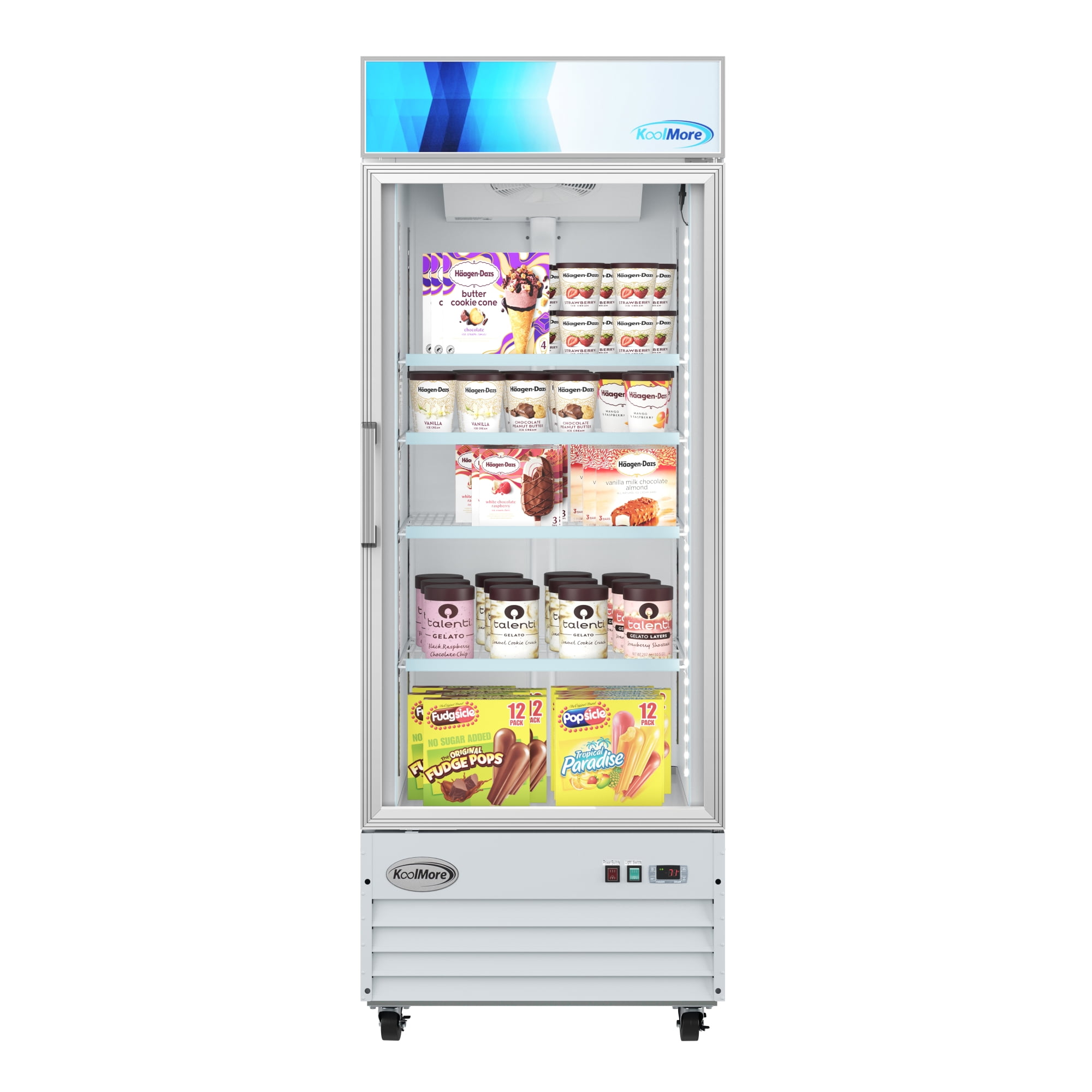 31 in. 1-Door Commercial Display Merchandiser Freezer 23 cu. ft. in ...
