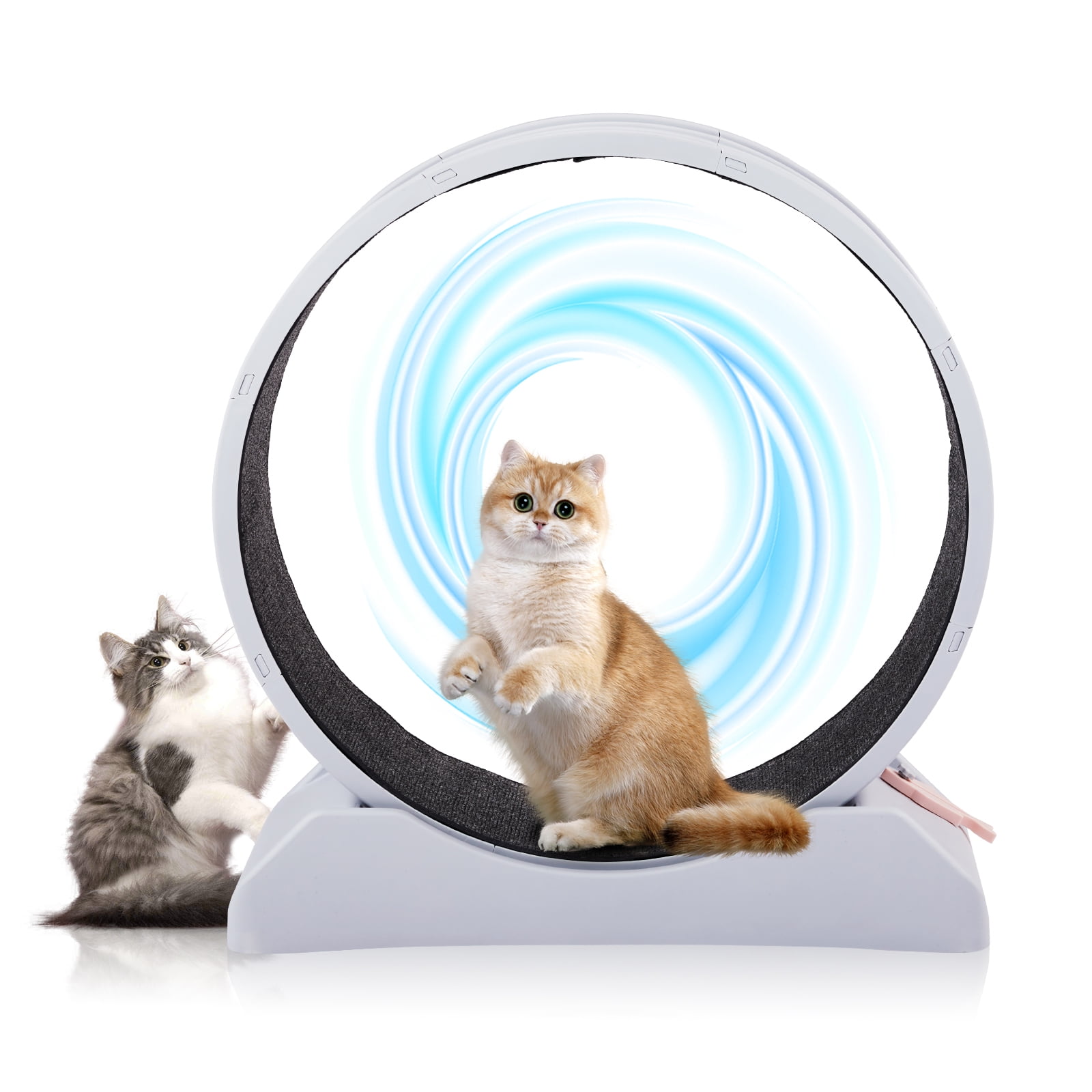 31 - inch Cat Exercise Wheel, Indoor Cat Treadmill for Health ...
