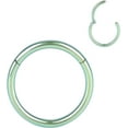 316L Surgical Steel Hinged Segment Nose Ring Hoop for Nose Septum ...