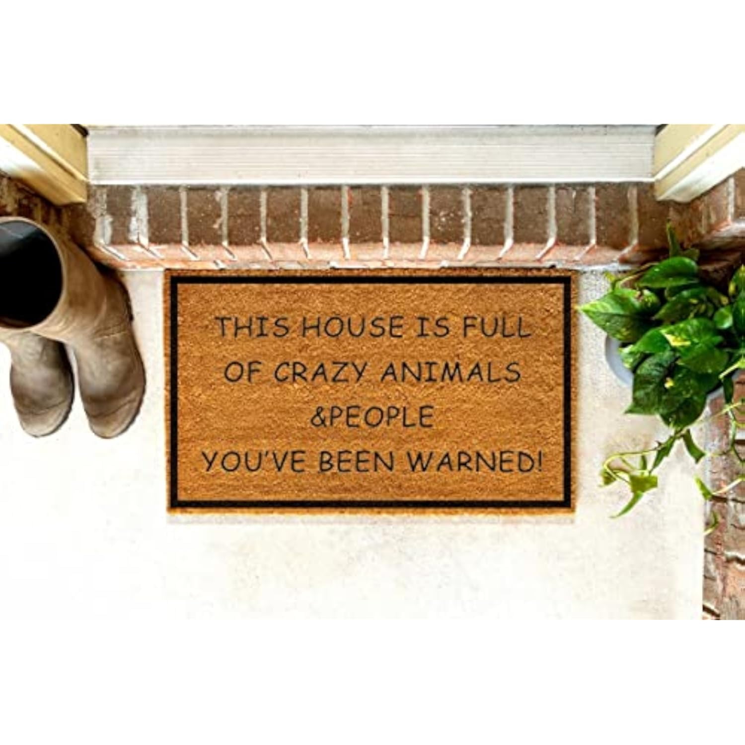 32*20inches Funny Entrance Doormat Funny Crazy People & Animals Fun ...