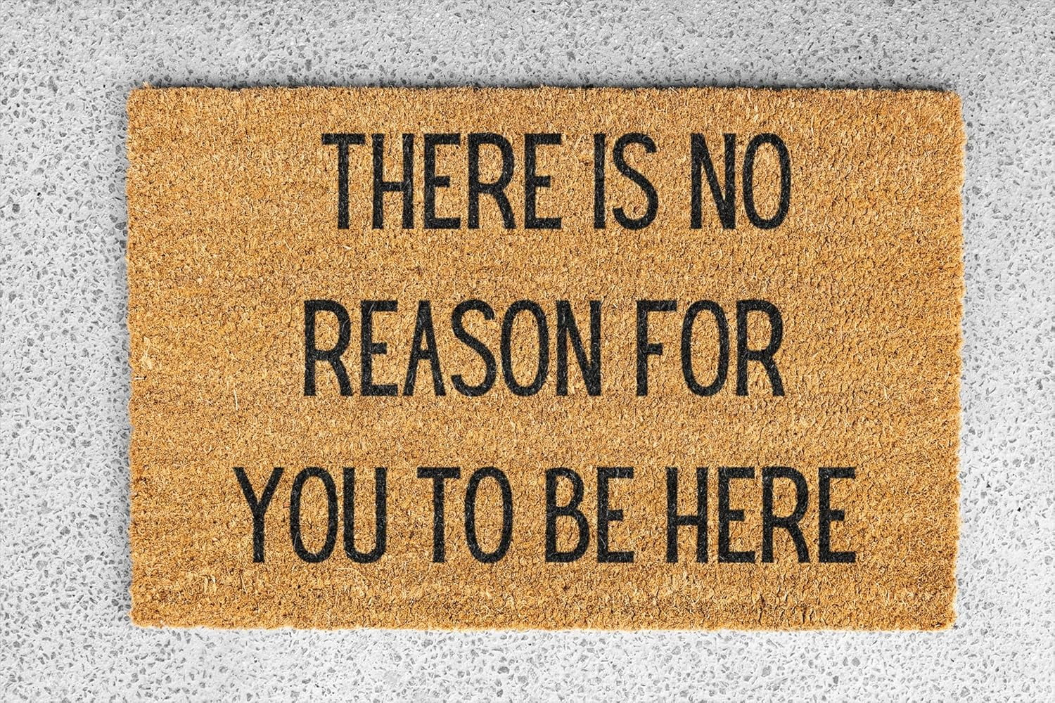 32*20inches You Have No Reason to Be Here Doormat, Wedding, New Home ...